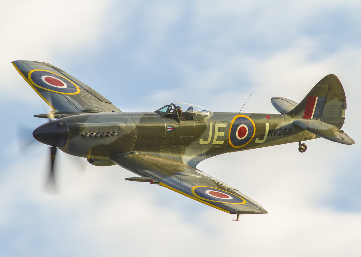 Catching Up – The Fighter Collection